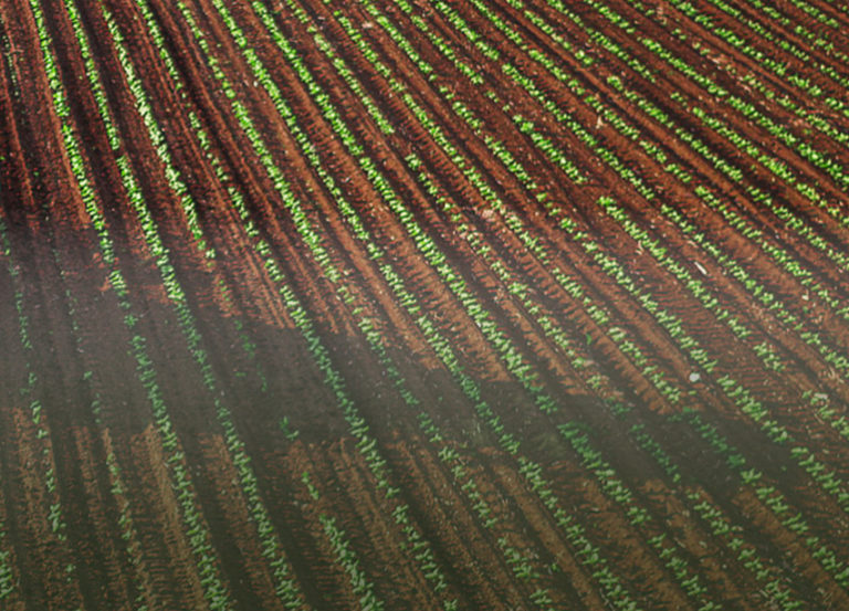 Kewalram Chanrai Group - Notch Studio